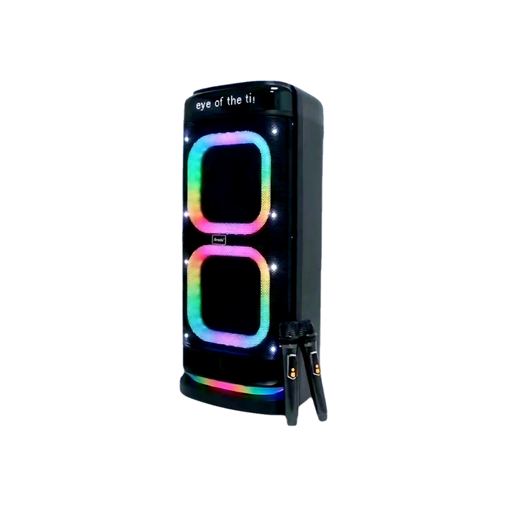 Brodu BTS- 2121 Bluetooth Karaoke Speaker - Chinthana GSM (Pvt) Ltd - Chinthanagsm.lk Online Store